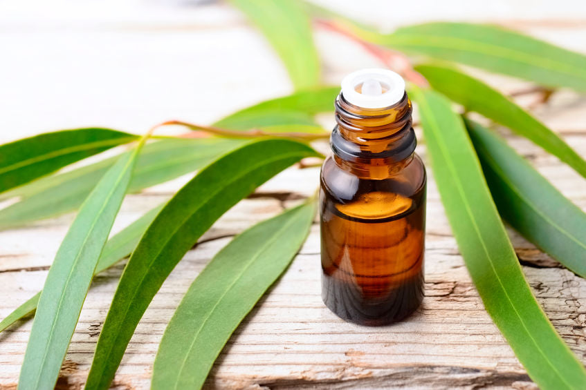 Guide to Essential Oil Shelf Life - Silk Road Organic®